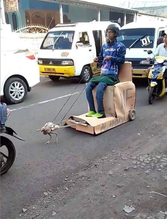 cursed ride | Scrolller