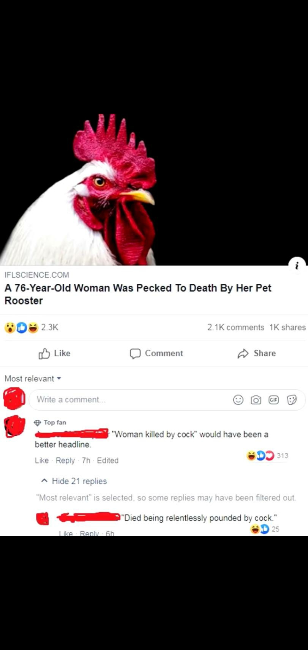 Cursed_rooster | Scrolller