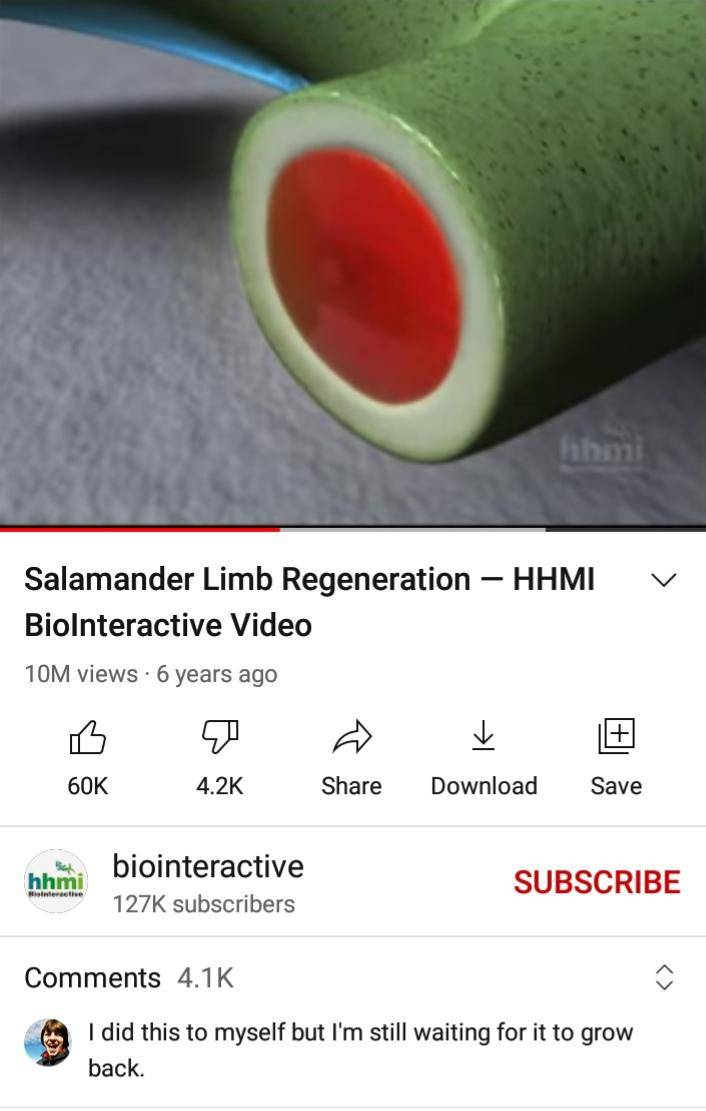 cursed_salamander arm | Scrolller