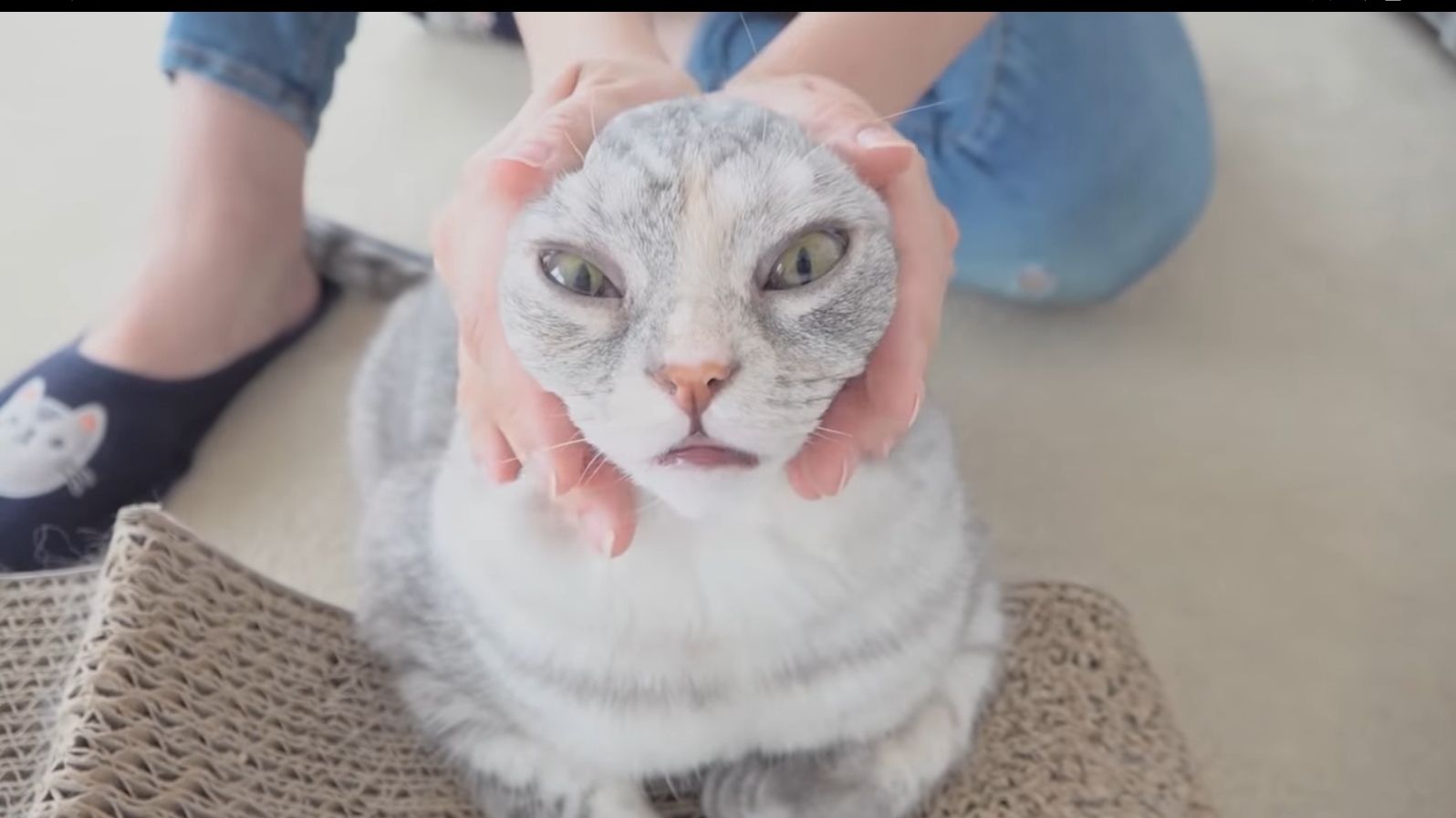 Cursed TT | Scrolller