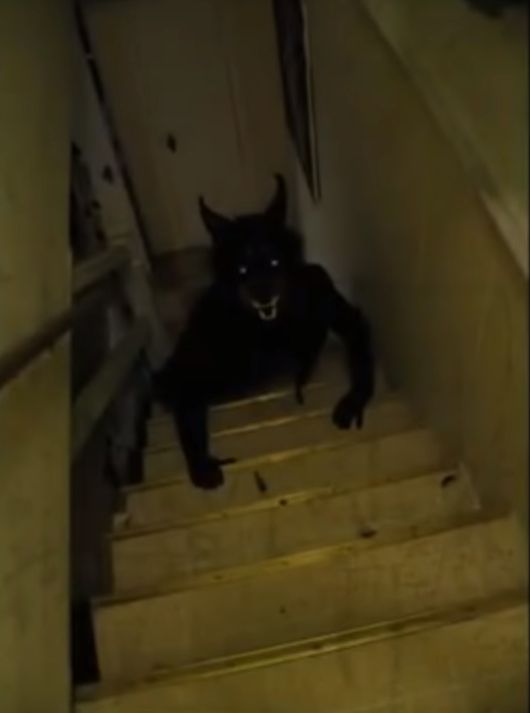 cursed_werewolf | Scrolller