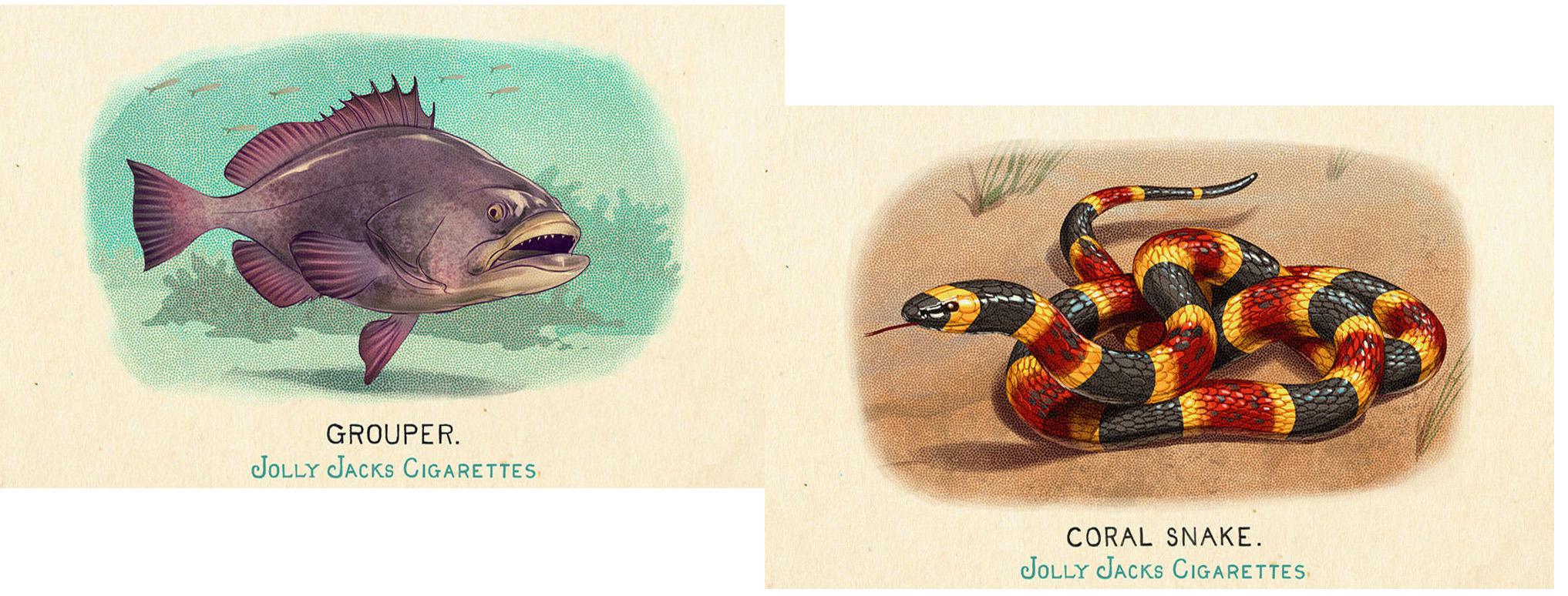 Cut Critters? | Scrolller