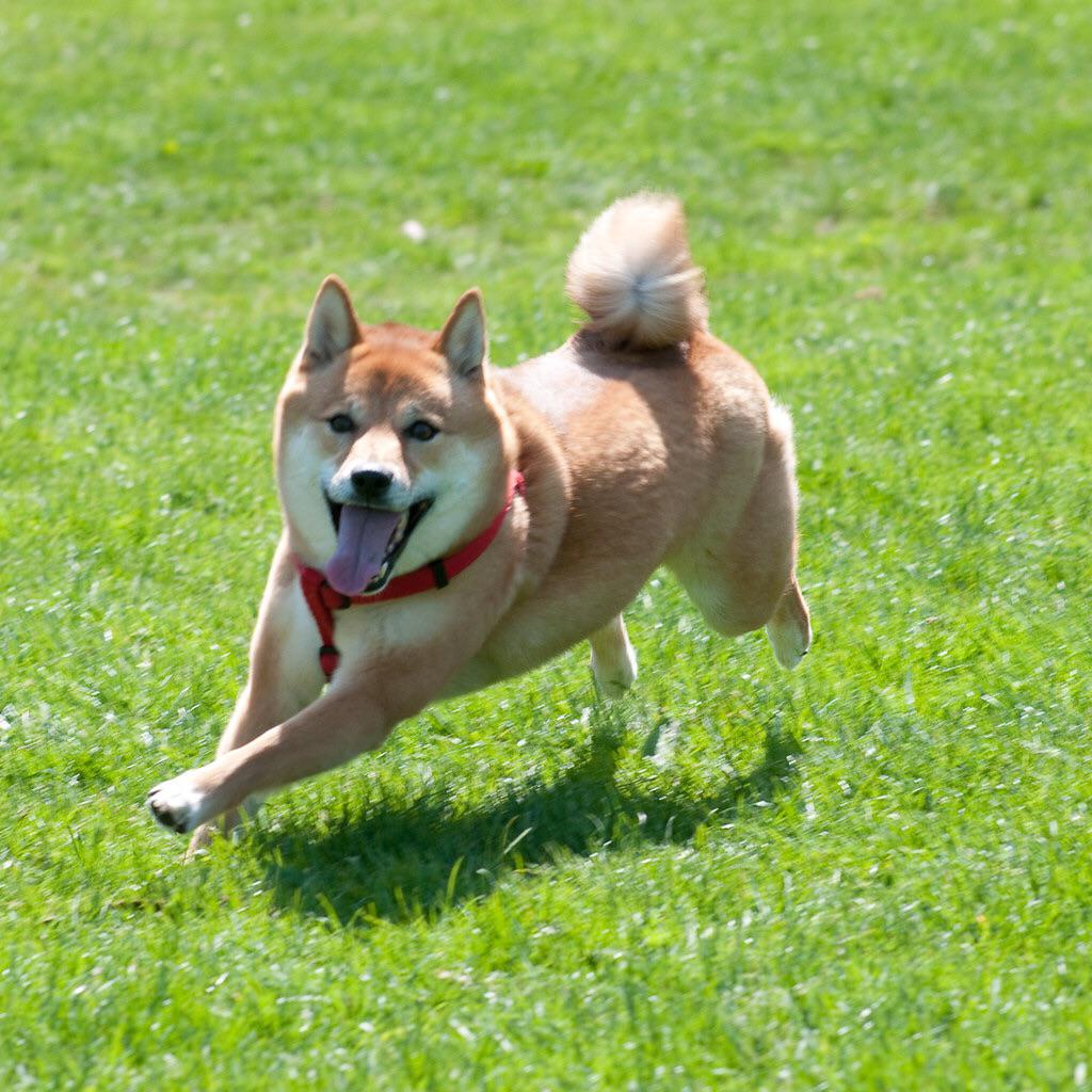 Cute boy | Scrolller