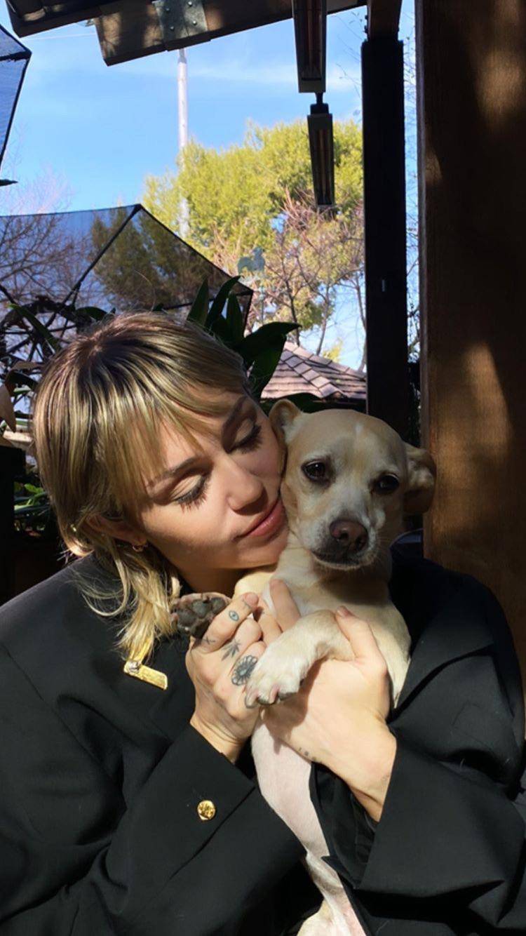 Cute dog. | Scrolller