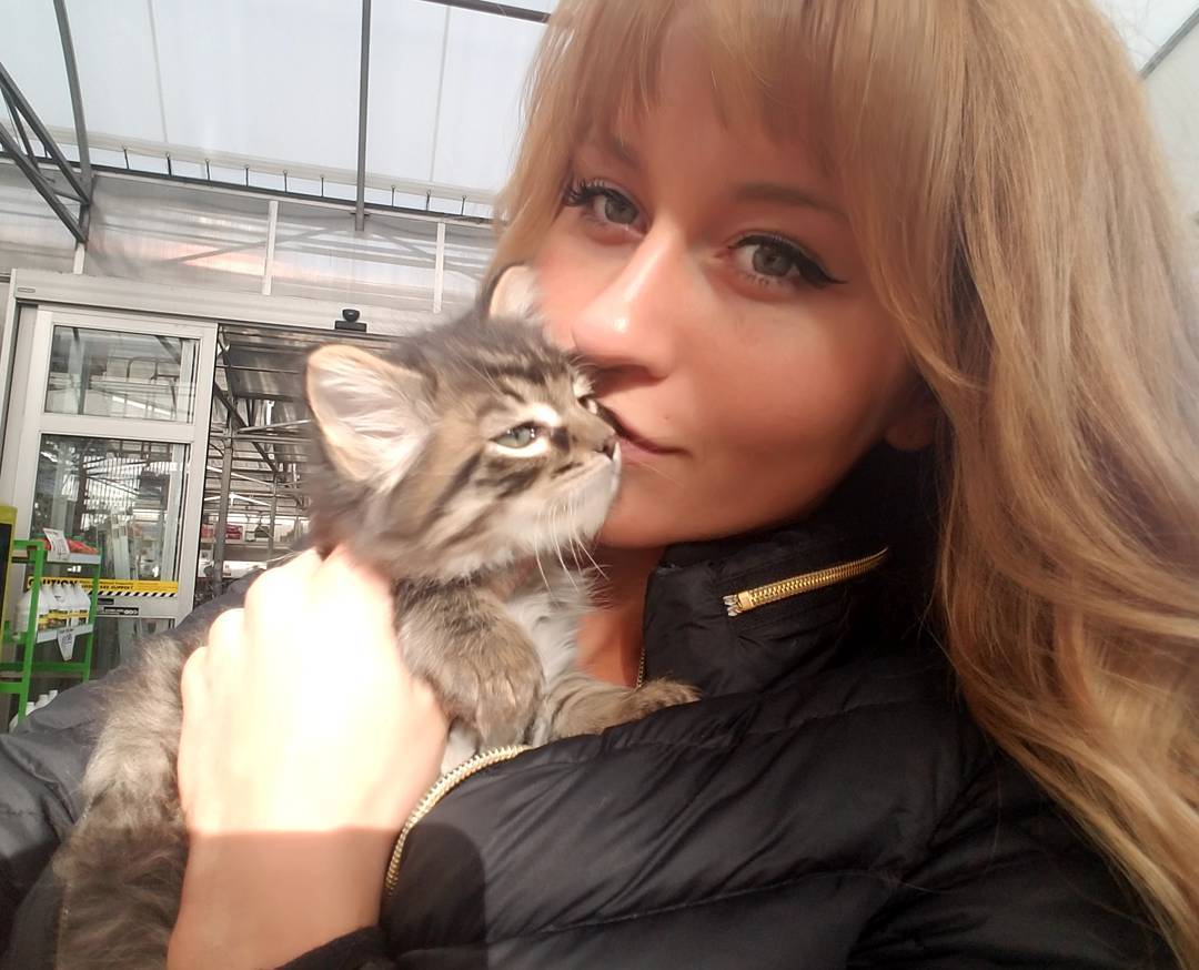 Cute Kitten | Scrolller