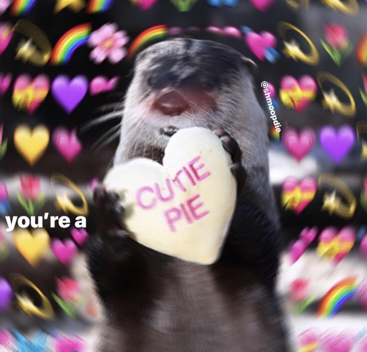 Cute meme | Scrolller