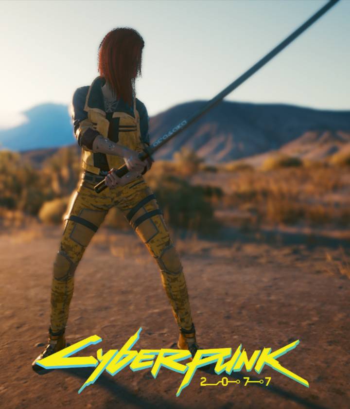 [Cyberpunk 2077] Kill Bill | Scrolller