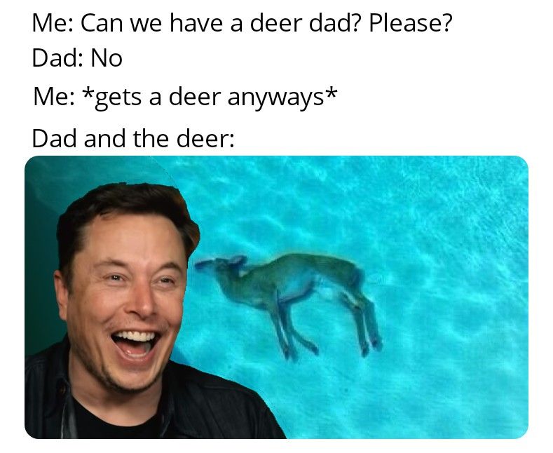 Dad No Scrolller