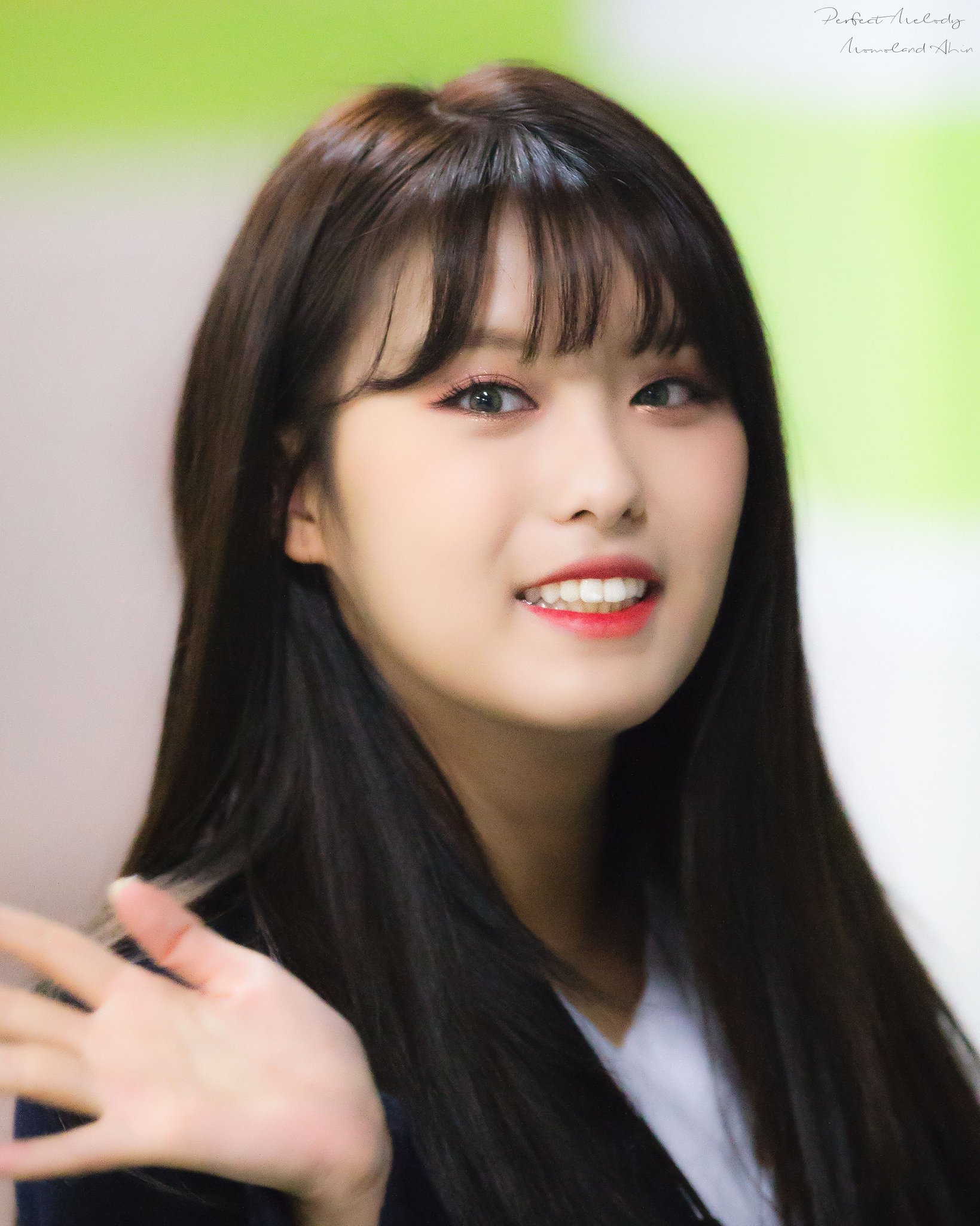 Daily Ahin #132 | Scrolller