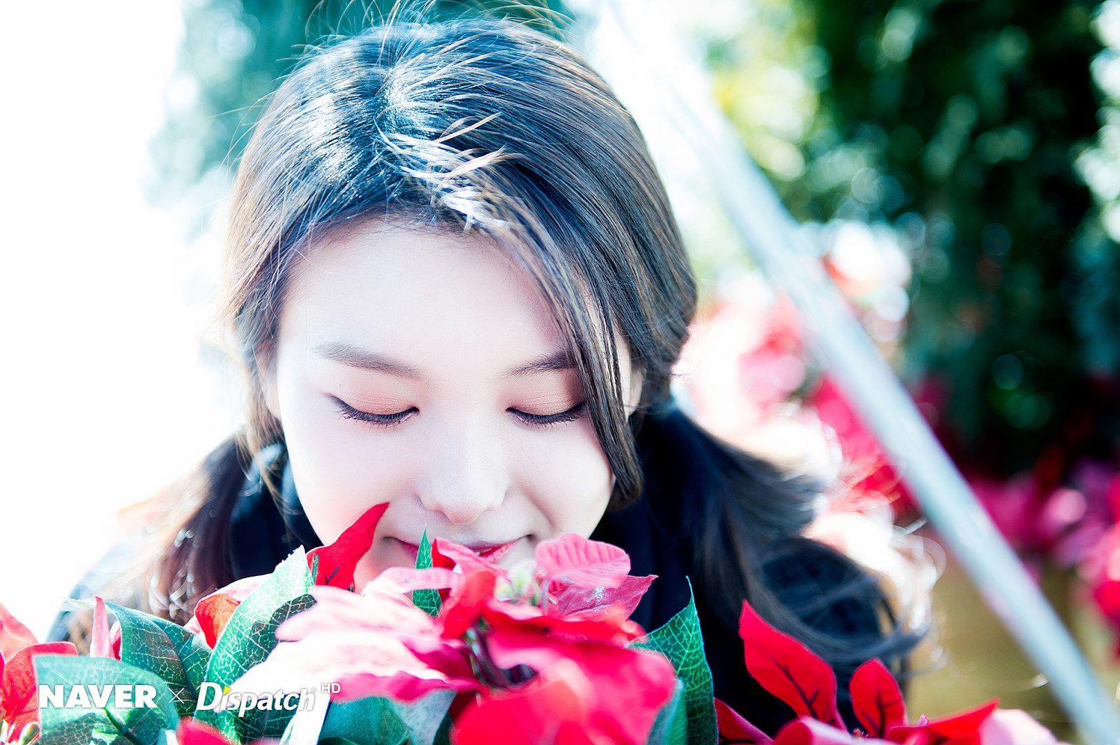 Daily Ahin #51 | Scrolller