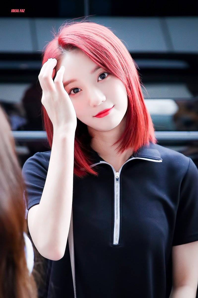 Daily Binnie #391 | Scrolller