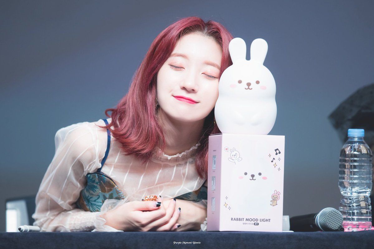 Daily Binnie #484 | Scrolller