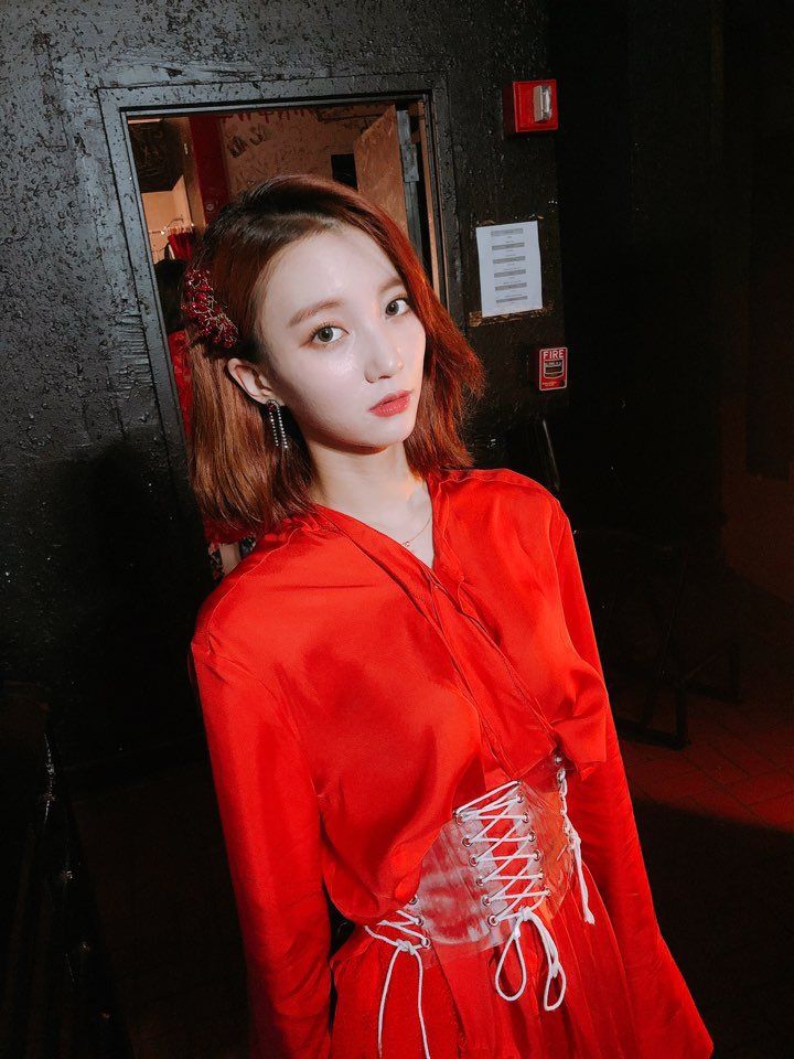 Daily Binnie #551 | Scrolller