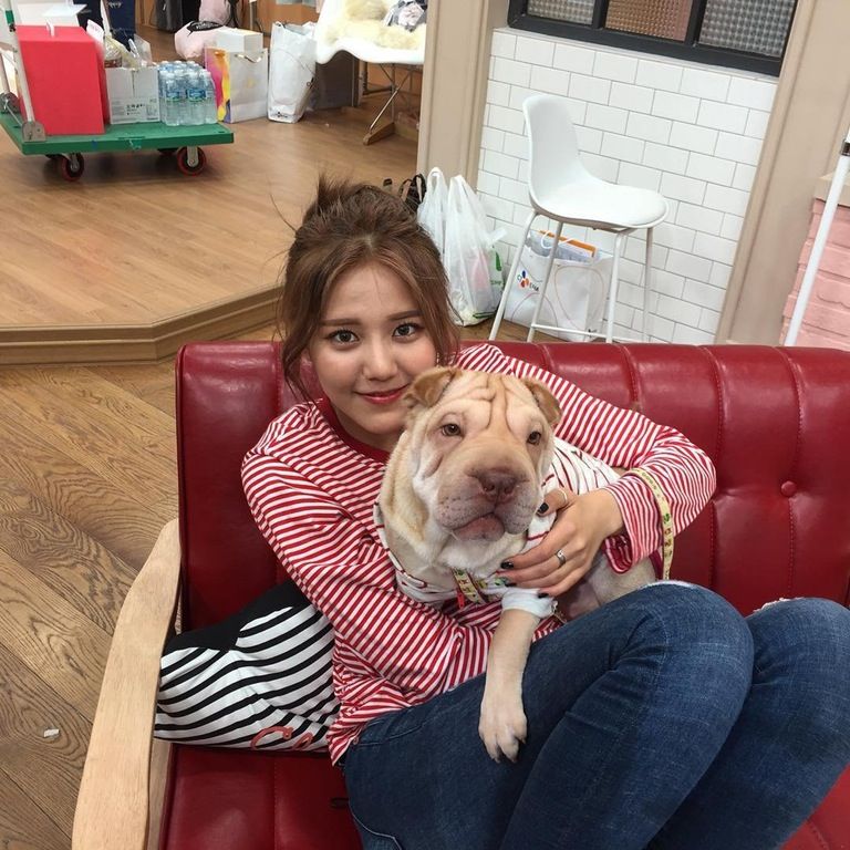 Daily Dong #172 | Scrolller