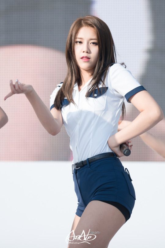 Daily Dong #190 | Scrolller