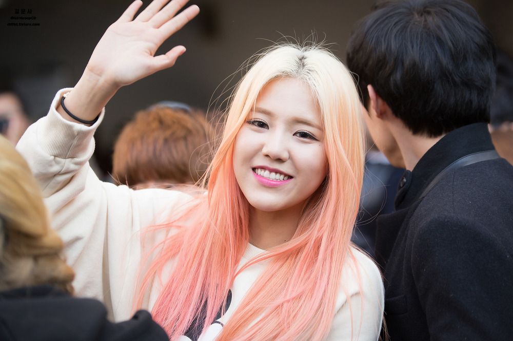 Daily Dong #87 | Scrolller