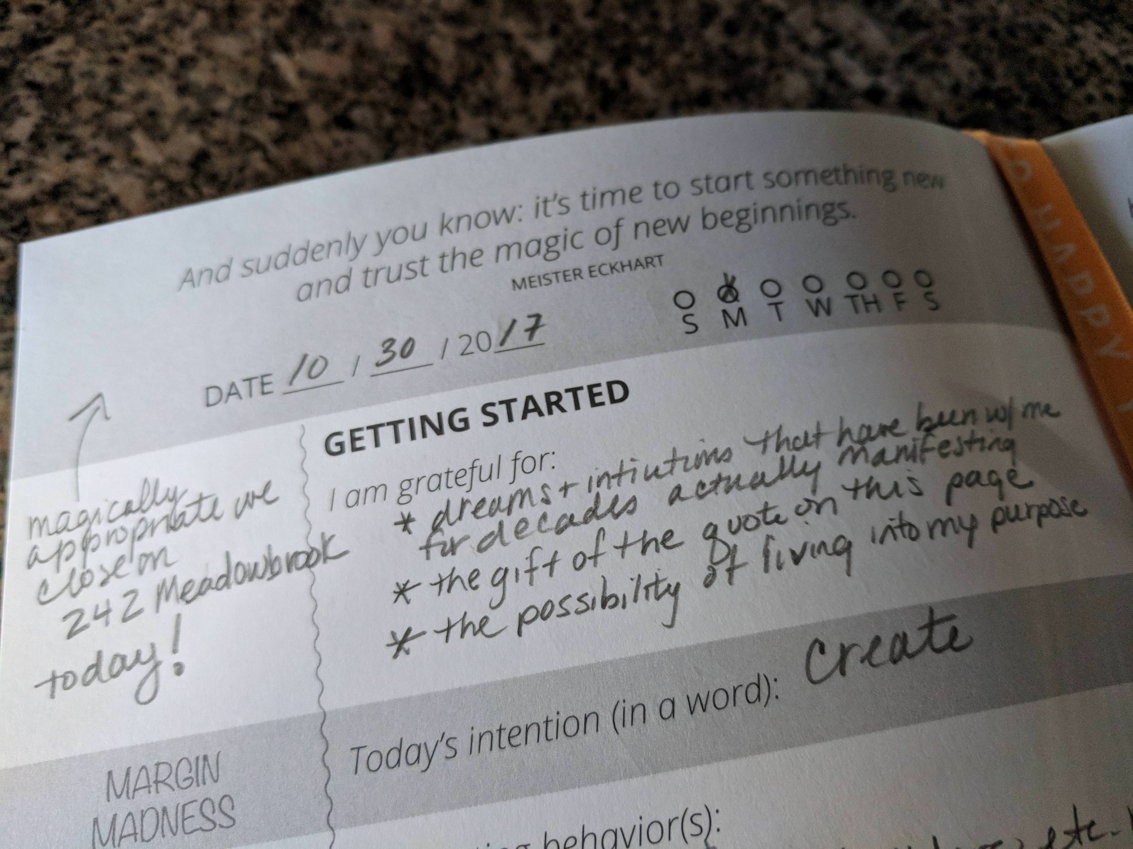 Daily Gratitude Practice | Scrolller