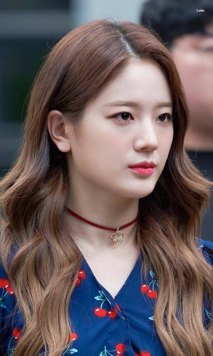 Daily Gyuri | Scrolller