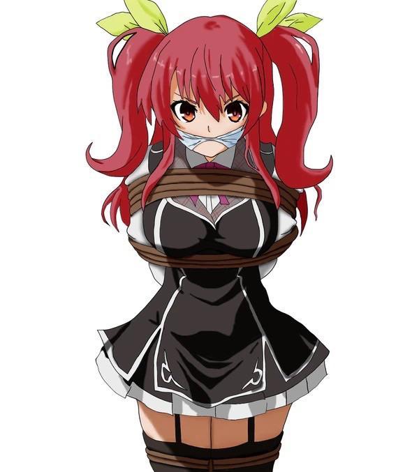 Daily Stella #59 | Scrolller