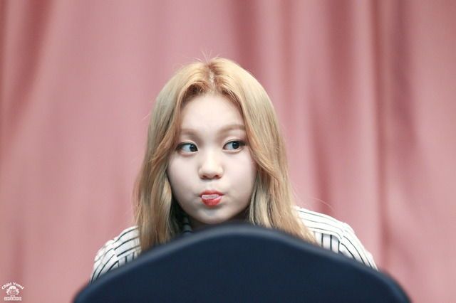 Daily Umji #316 | Scrolller