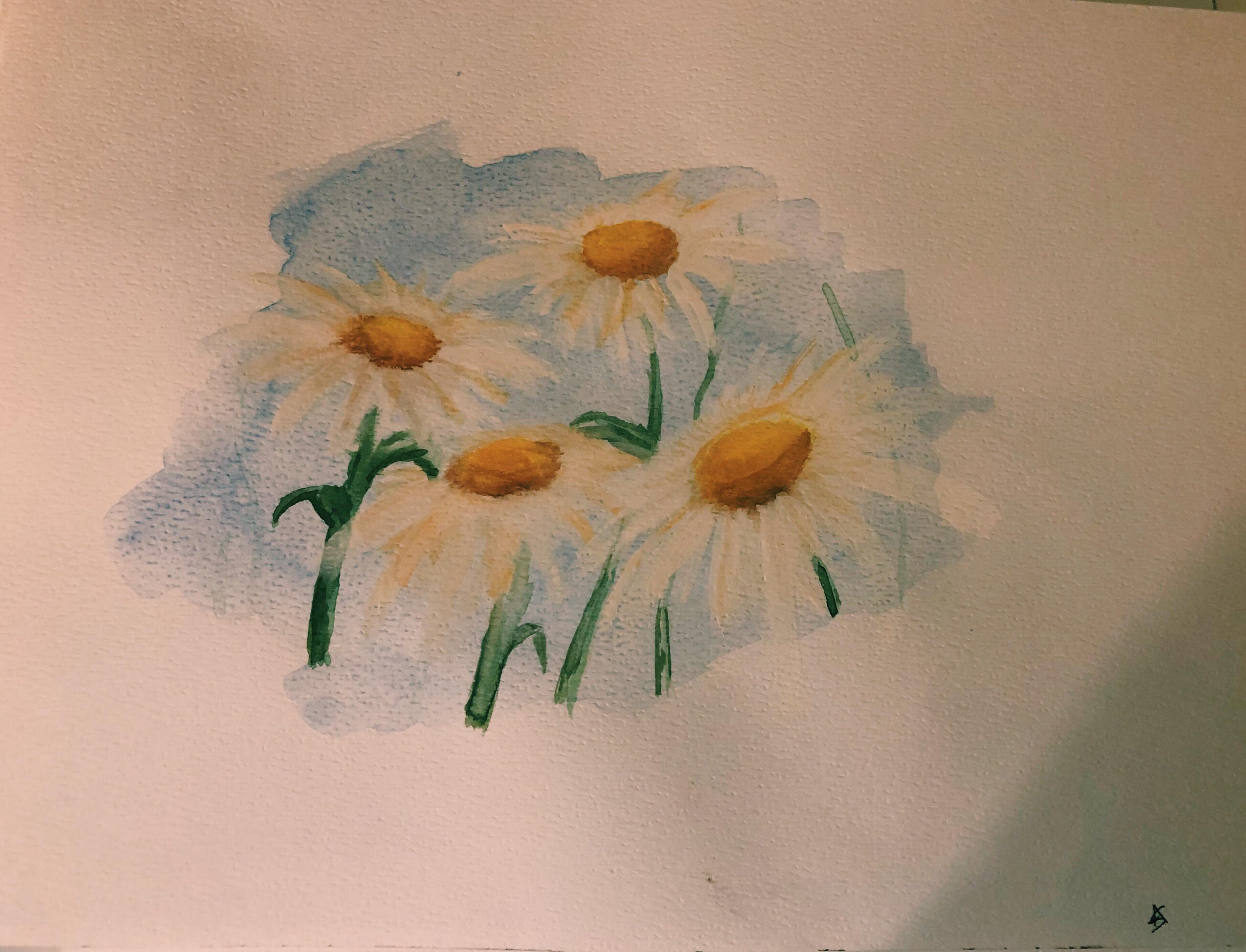 Daisies, Amy Strader, 2020 | Scrolller