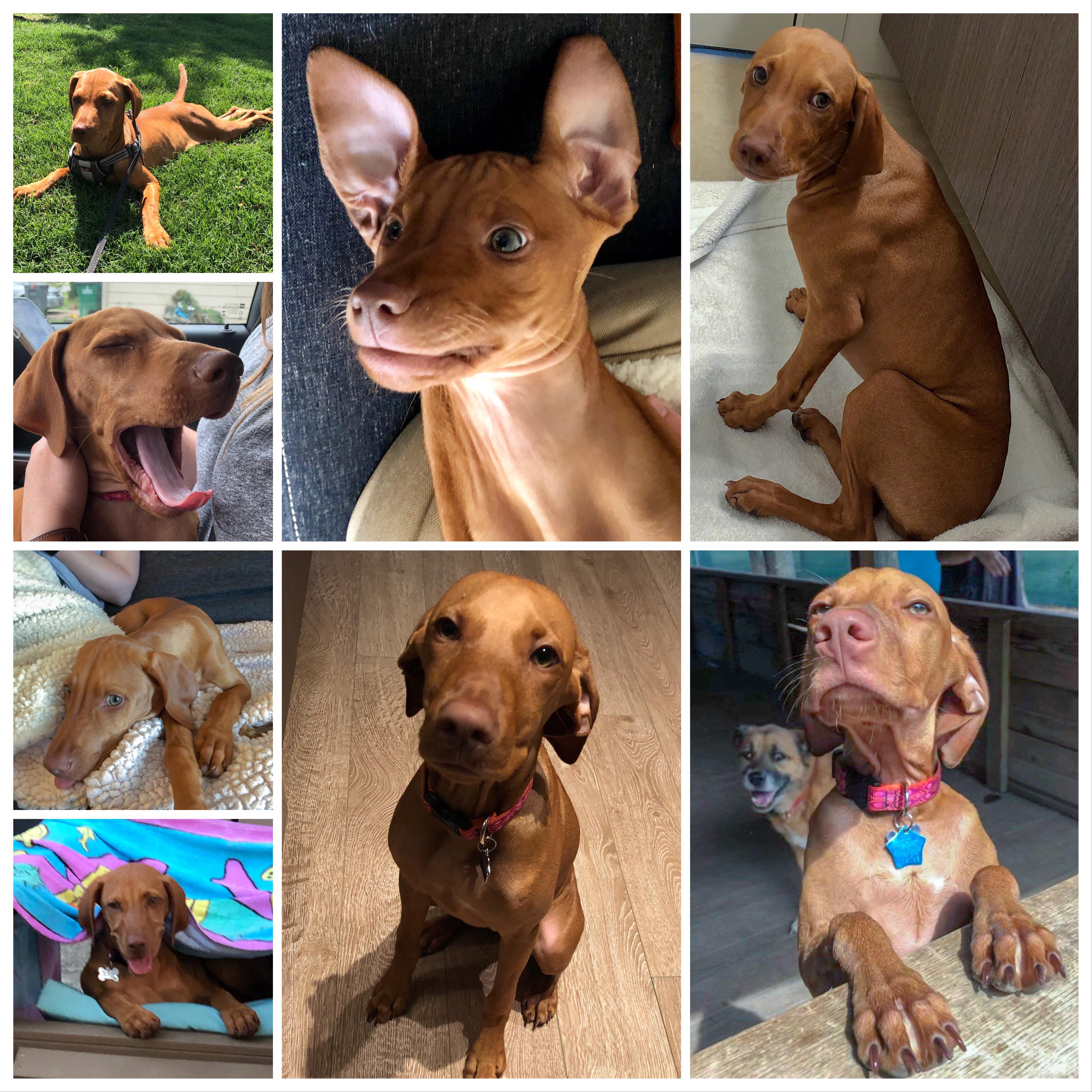 Daisy’s many faces. | Scrolller