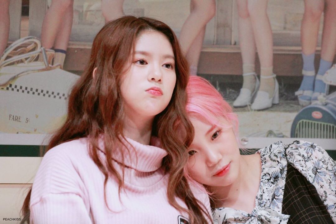 Daisy Tuesday!!! | Scrolller