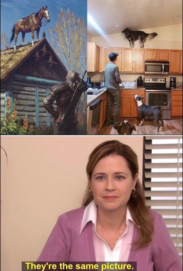 Dammit Roach | Scrolller