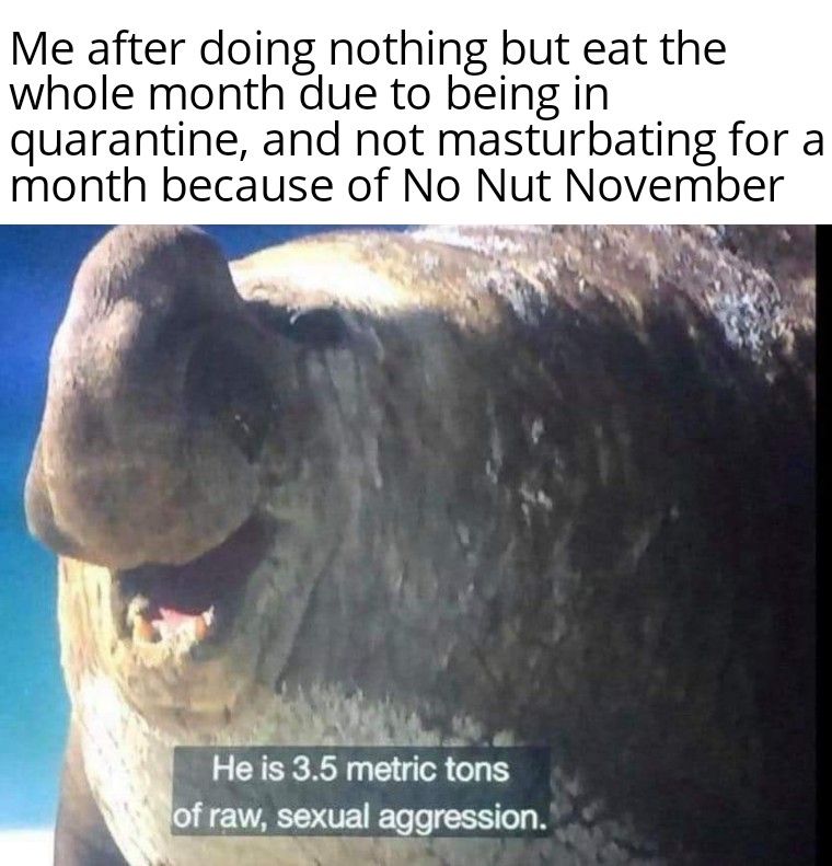 Dangerous combo | Scrolller