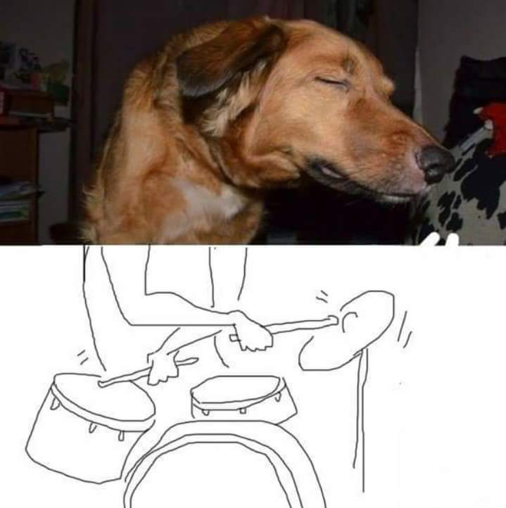 Dave Growl | Scrolller