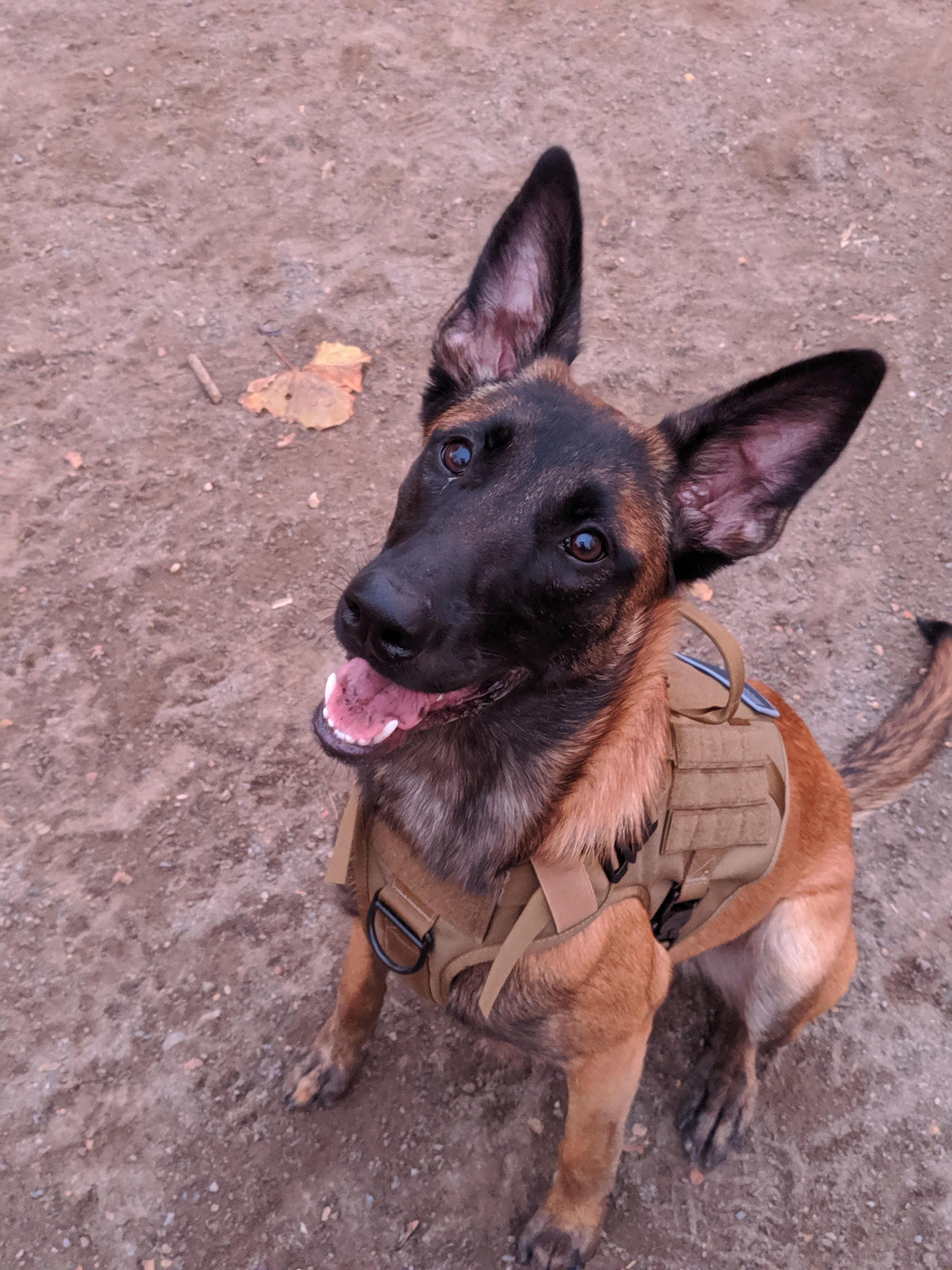 DC Metro Meetup | Scrolller