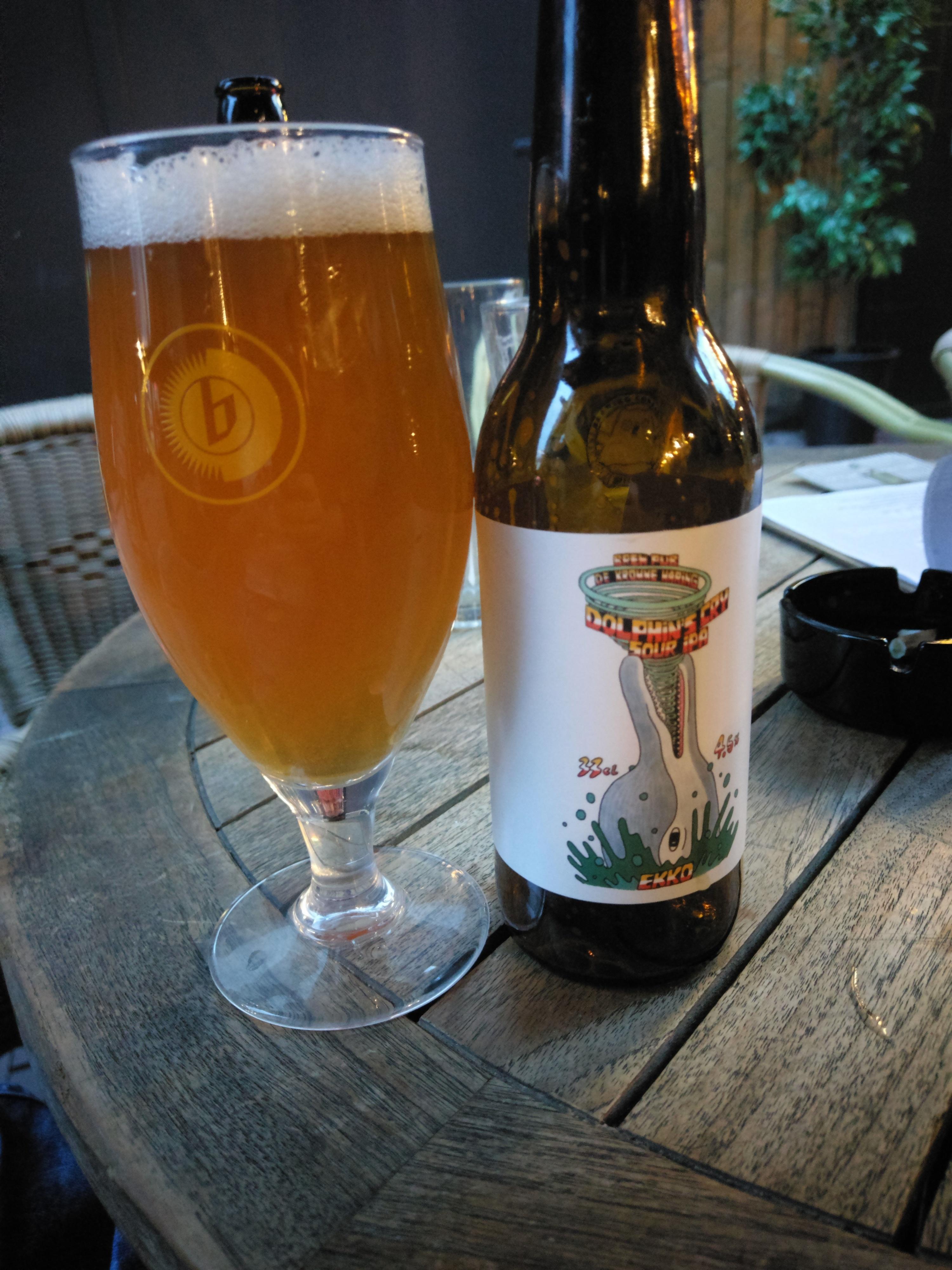 De kromme haring - dolphin's cry | Scrolller