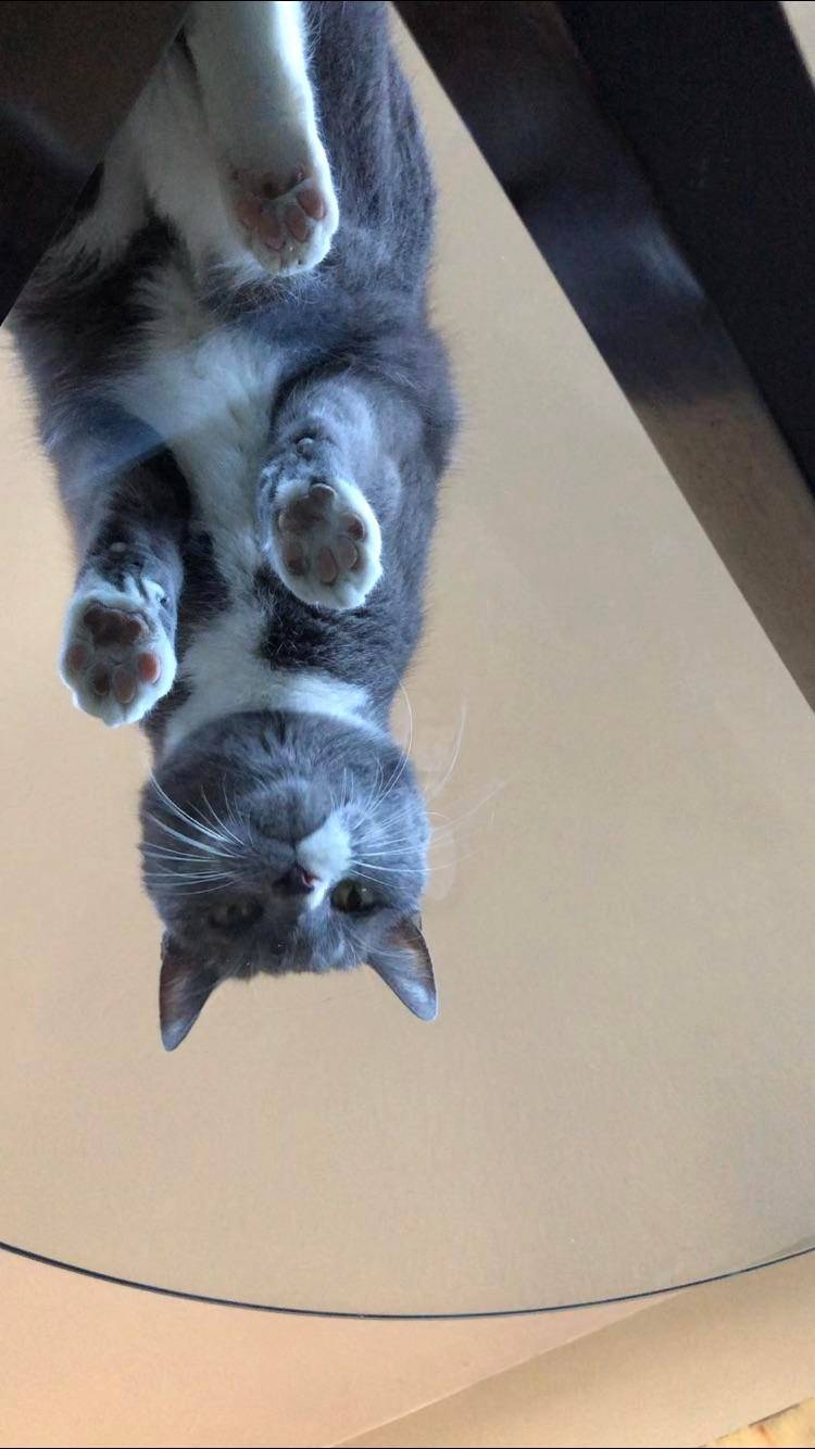 Death glare? | Scrolller