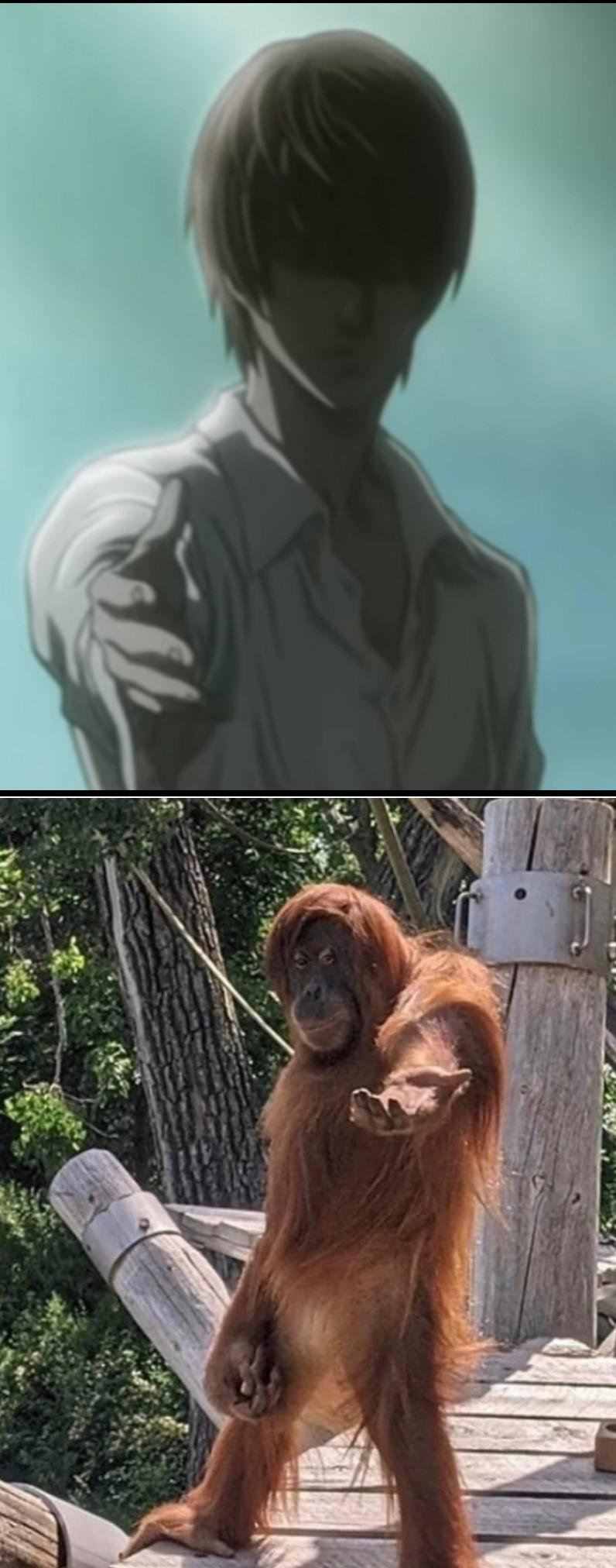 Death note shitposting | Scrolller