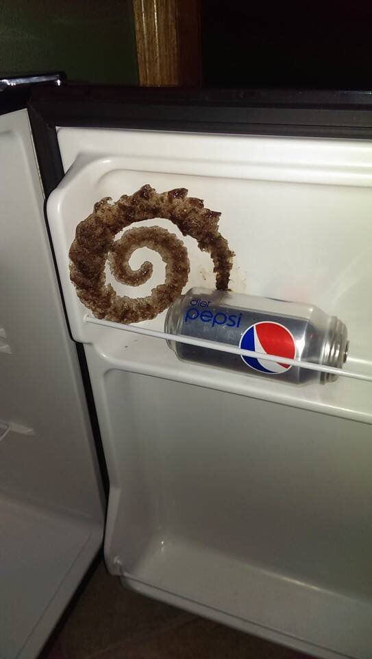 Debian soda can explosion | Scrolller