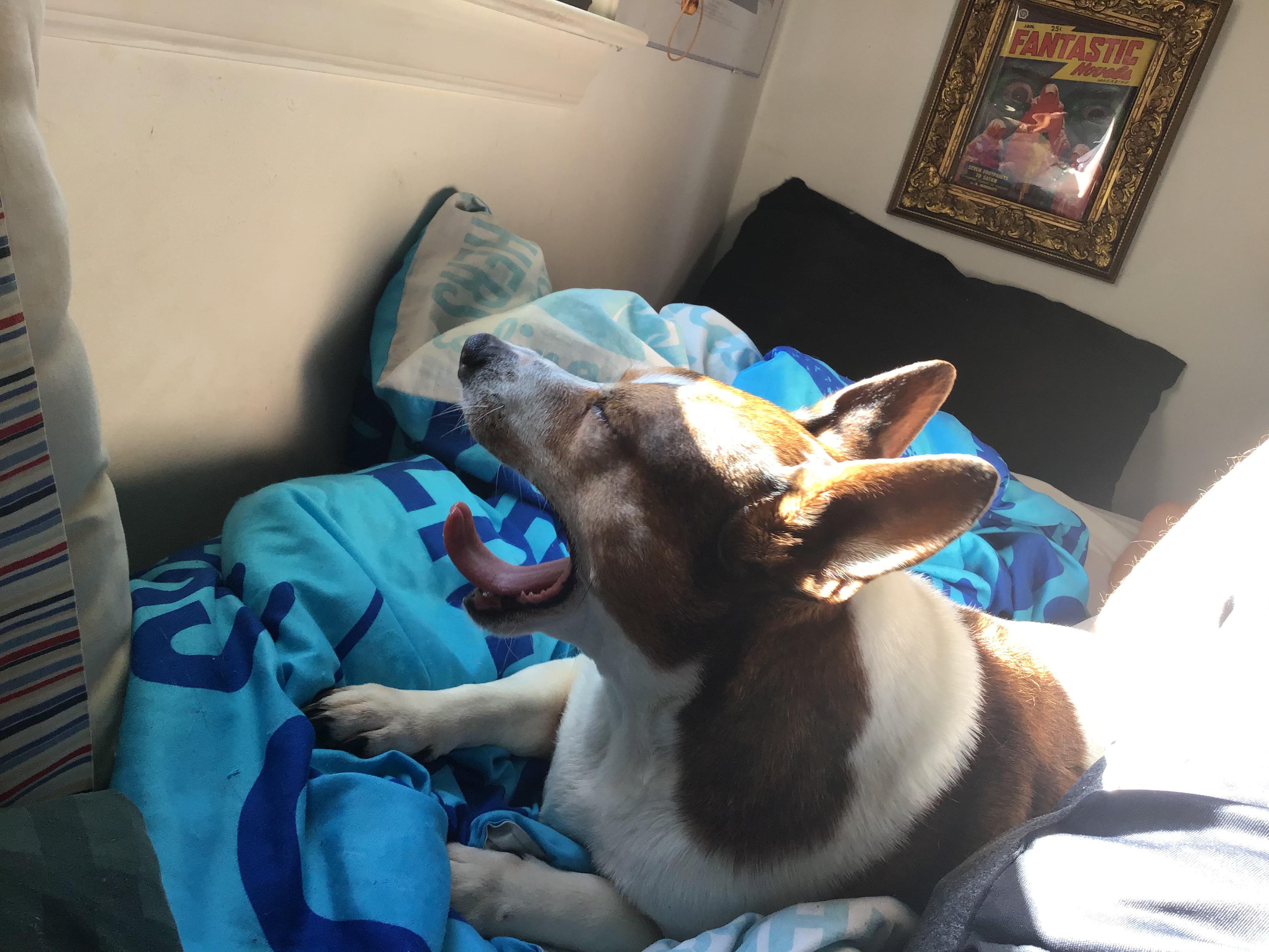 Deep derp... | Scrolller