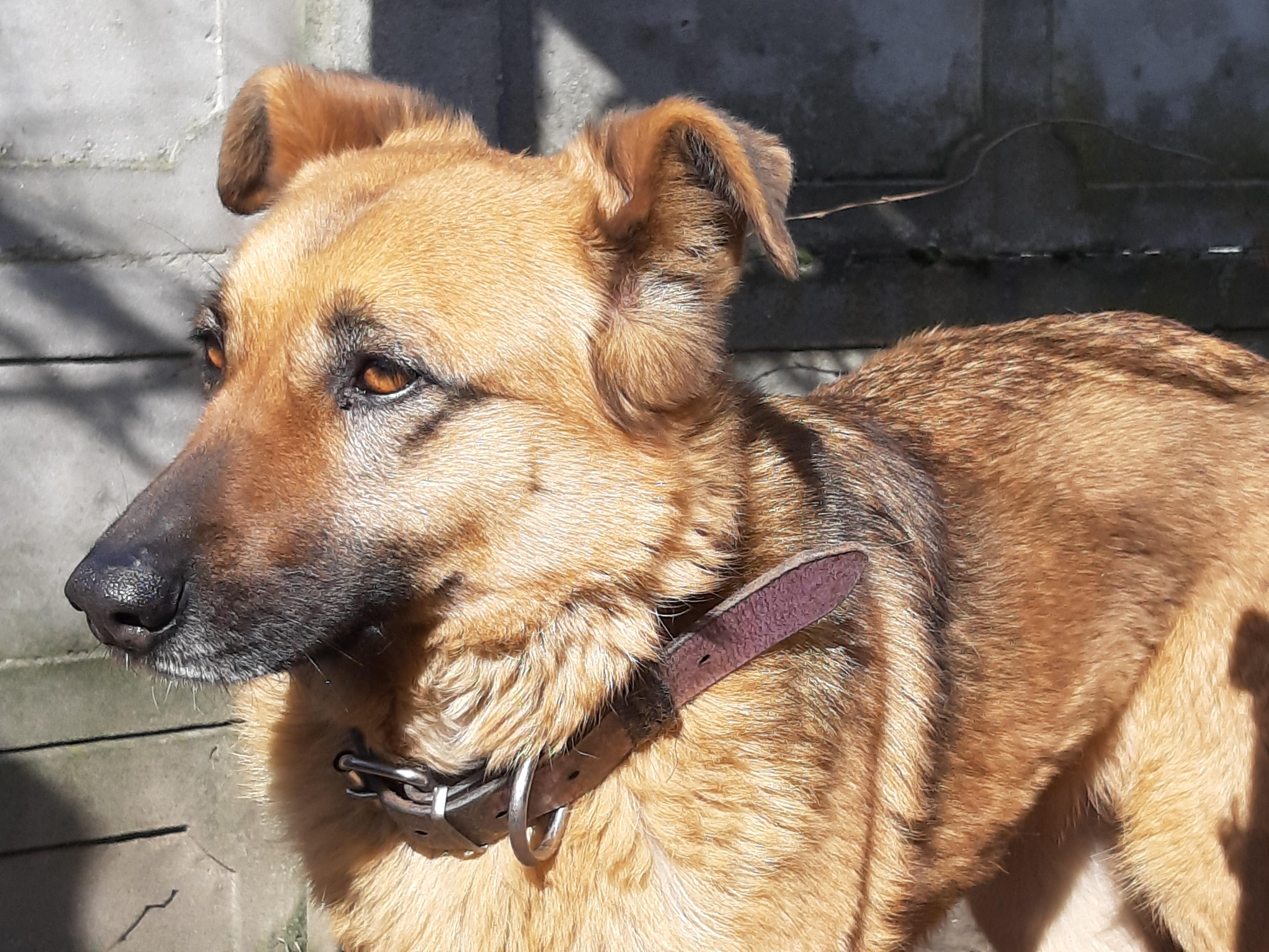 Deep thinker | Scrolller