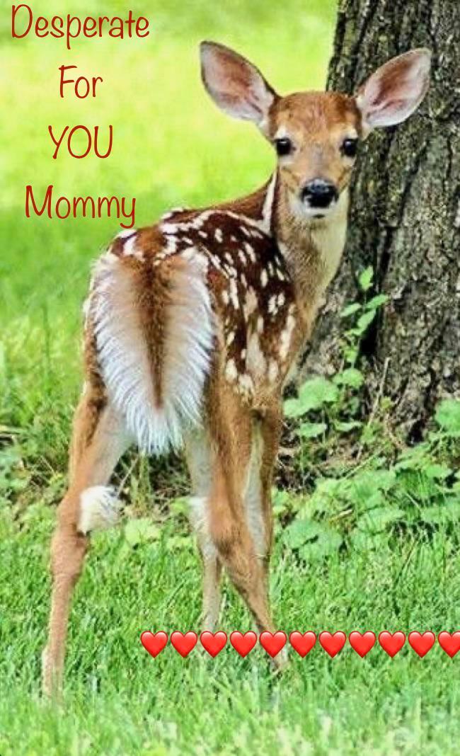 Deer Mommy: | Scrolller