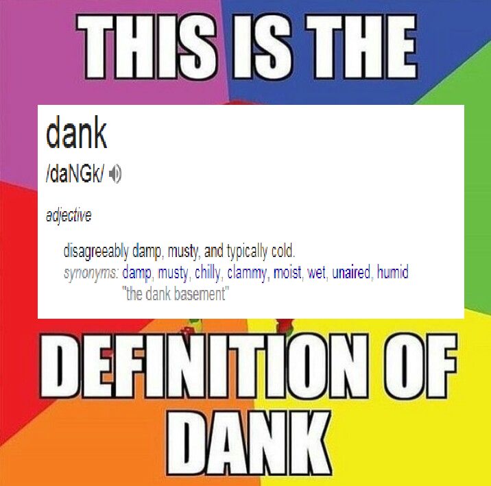 Definition of Dank | Scrolller