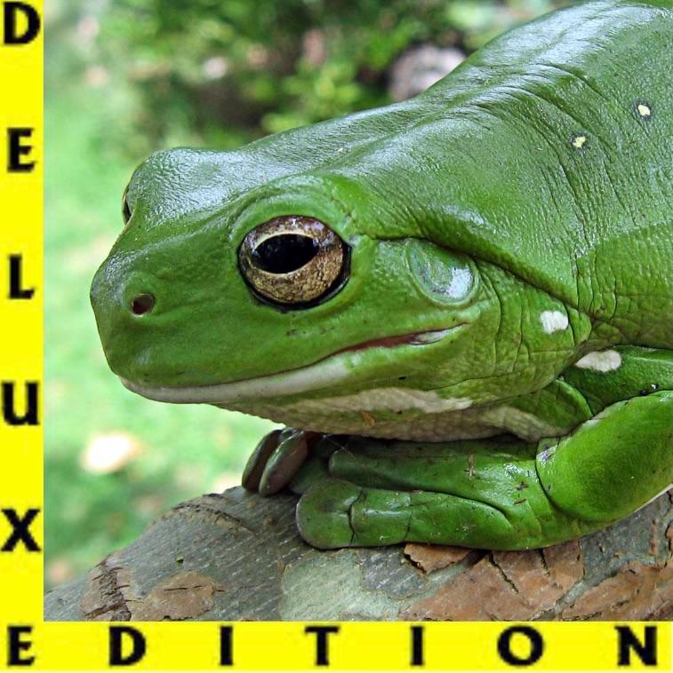 Deluxedition frog | Scrolller