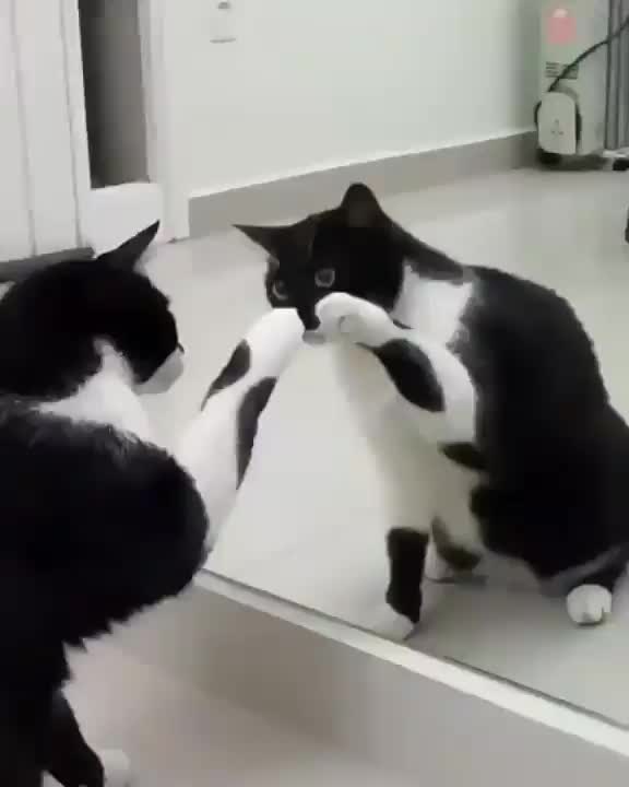 Touch tha resemblance | Scrolller