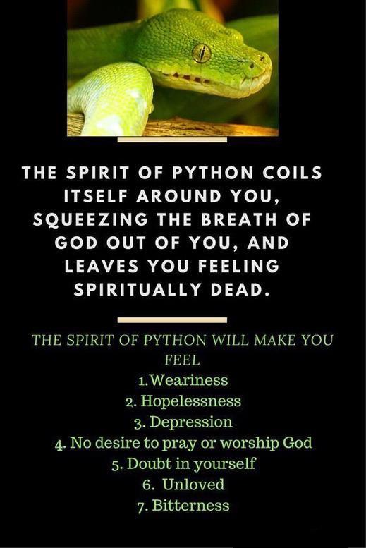 Depression is caused by “the spirit of python”. | Scrolller