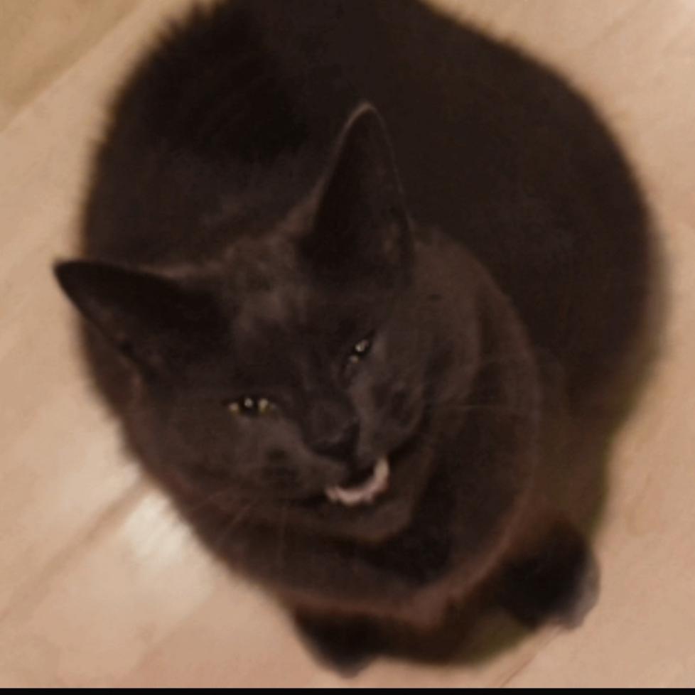 Derp face | Scrolller