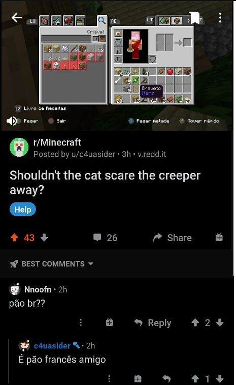 Dessa vez o coxinha tava no r/minecraft | Scrolller