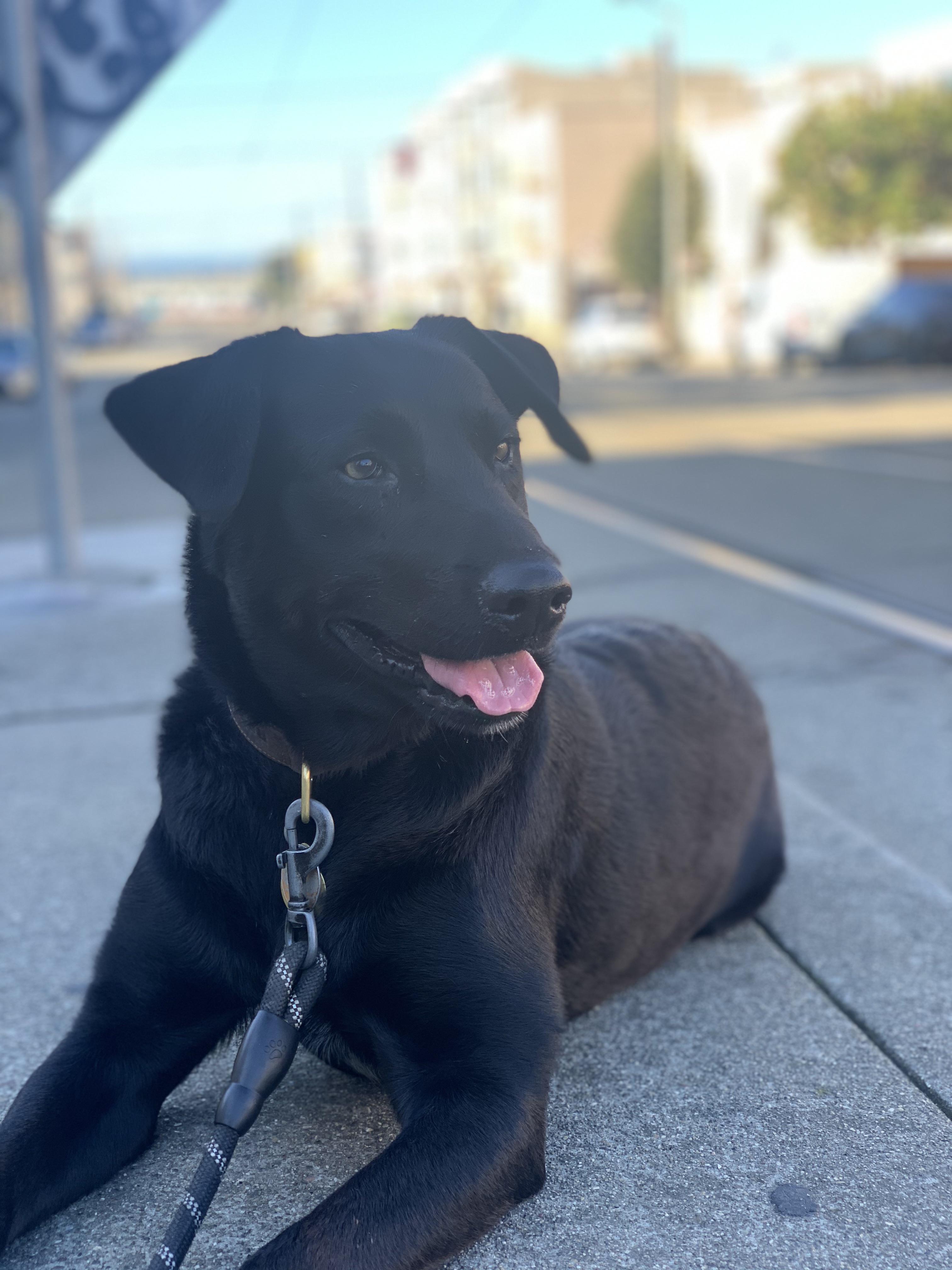 Dez looking handsome | Scrolller