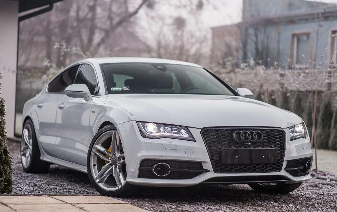 Did a photoshoot with my extremely photogenic A7 | Scrolller