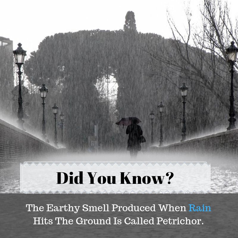 Did You Know? | Scrolller