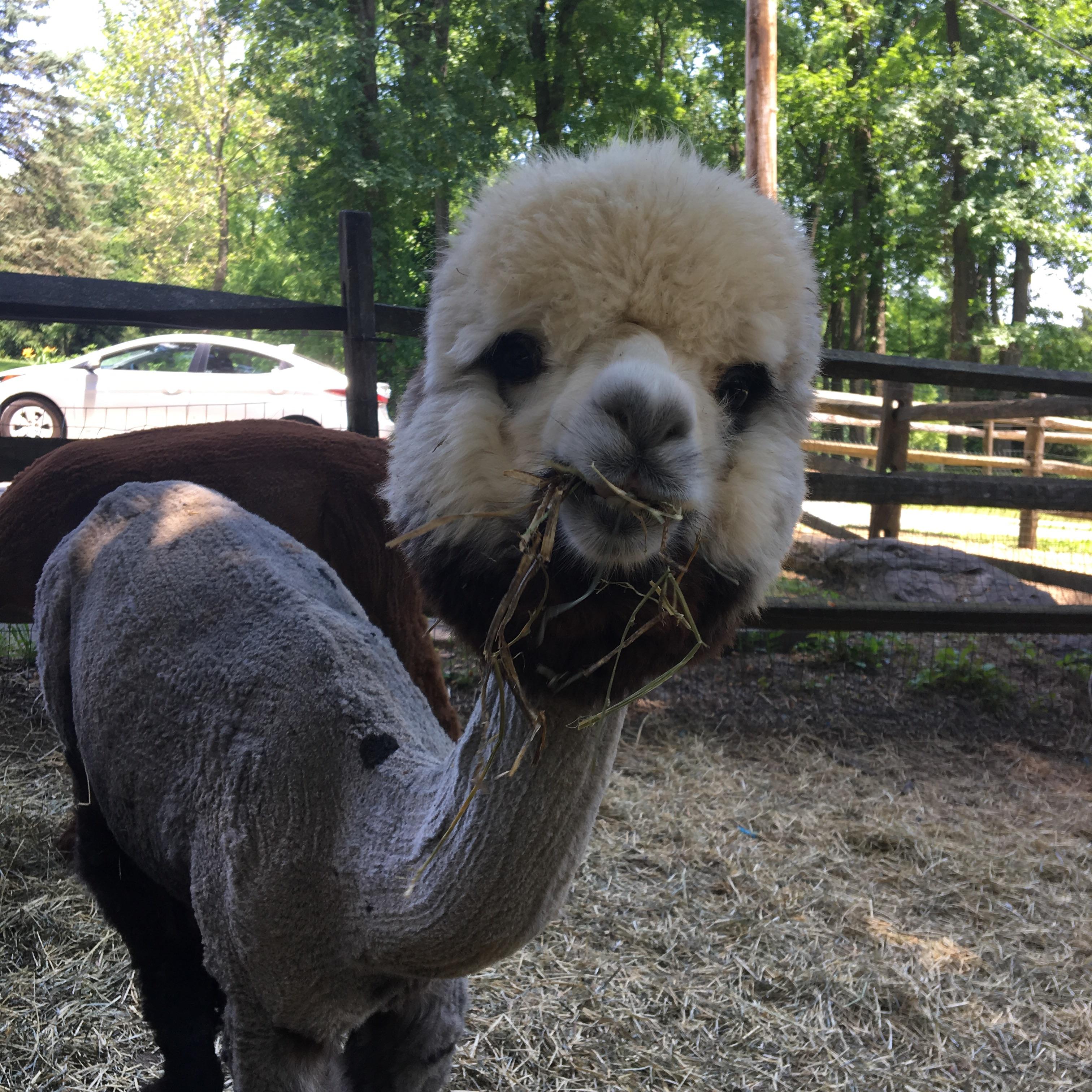 “Did you steal my coat?” | Scrolller