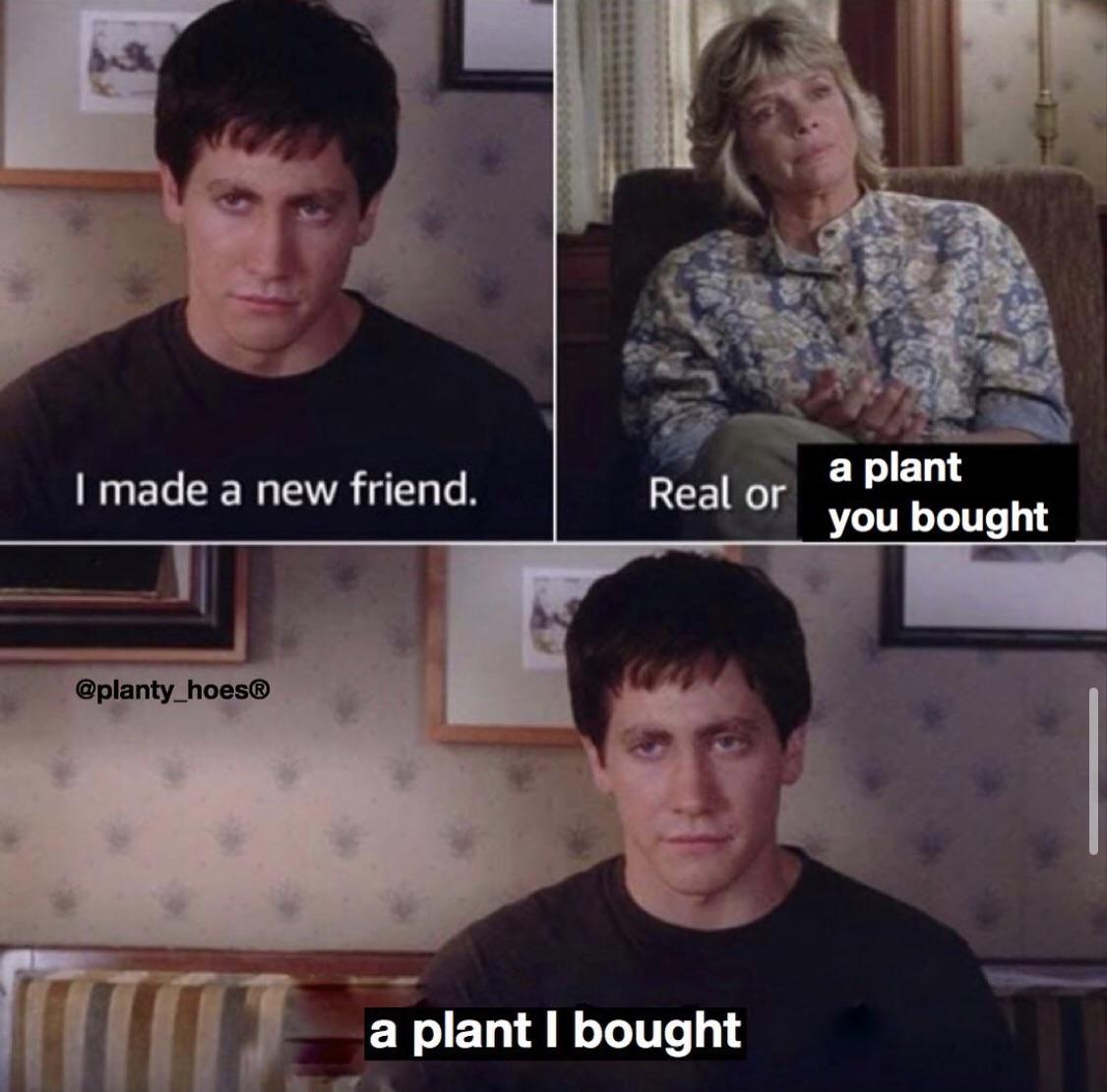 didn’t need such a personal attack | Scrolller