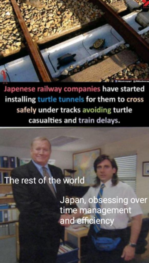 Die Idee ist doch von der PKP geklaut | Scrolller